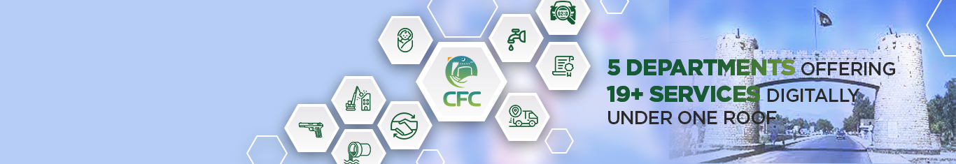 E-Services Citizens Facilitation Portal